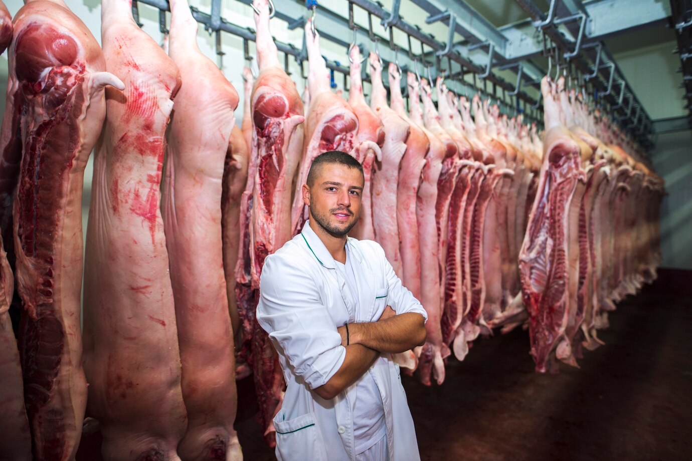 Food safety license for meat production