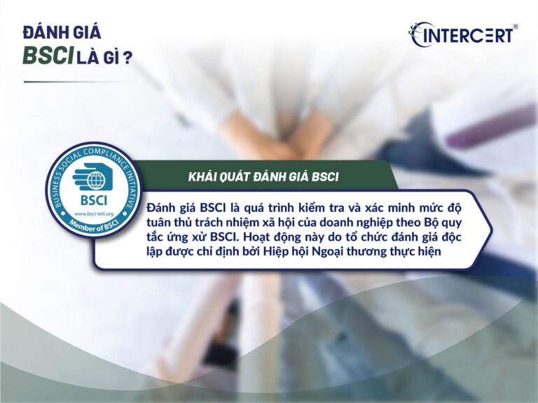 Đánh Giá BSCI - Trách Nhiệm Xã Hội Trong Kinh Doanh Mới Nhất – Chi Phí ...