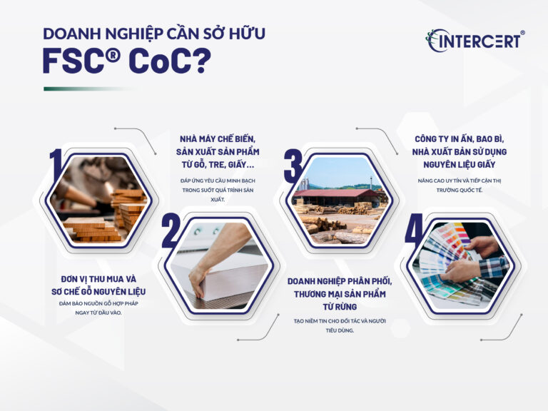 Chứng nhận FSC® – Dịch vụ FSC CoC uy tín cho doanh nghiệp xuất khẩu - Intercert Việt Nam cam kết ...