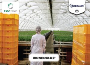 ISO 22000:2005 là gì? Những nội dung bạn cần biết?