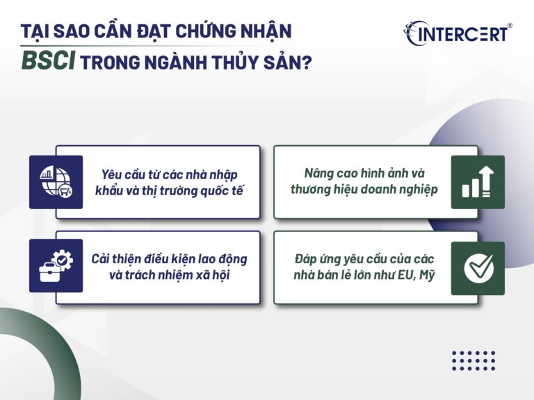 Tìm hiểu về chứng nhận BSCI thủy sản - Doanh nghiệp cần biết